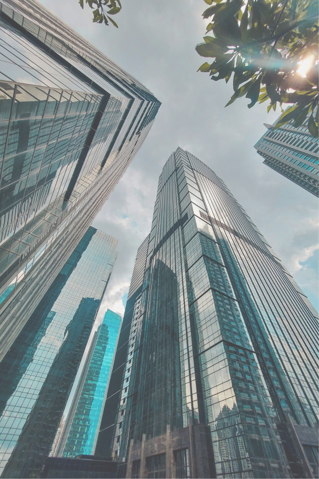SMOU Group | SMOU Real Estate